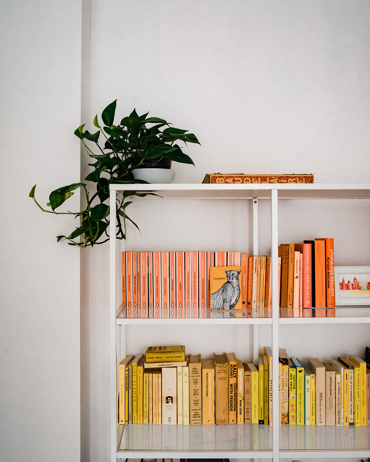 Contact | Interior Design and Architecture Studio