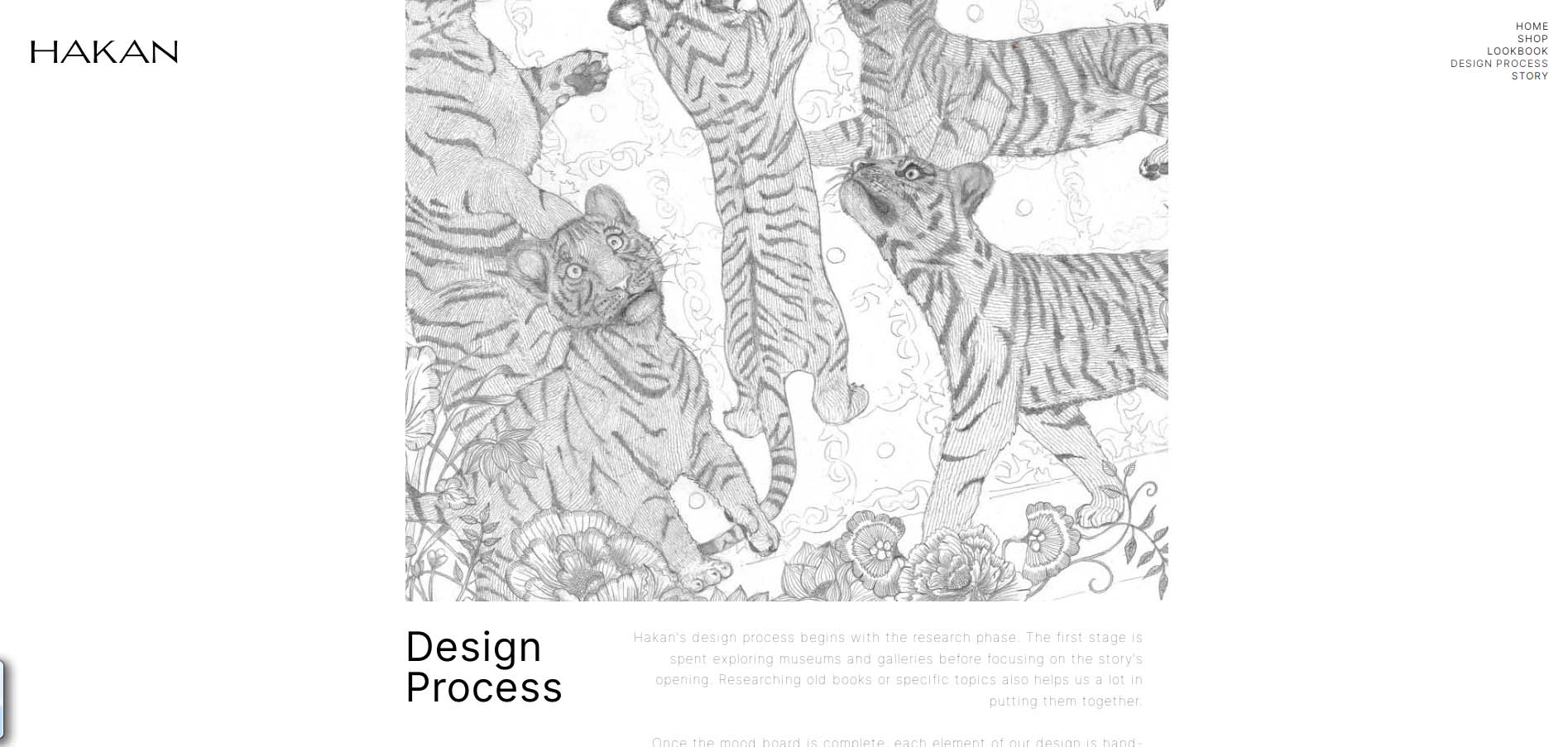 Design Process - Hakan Official Website