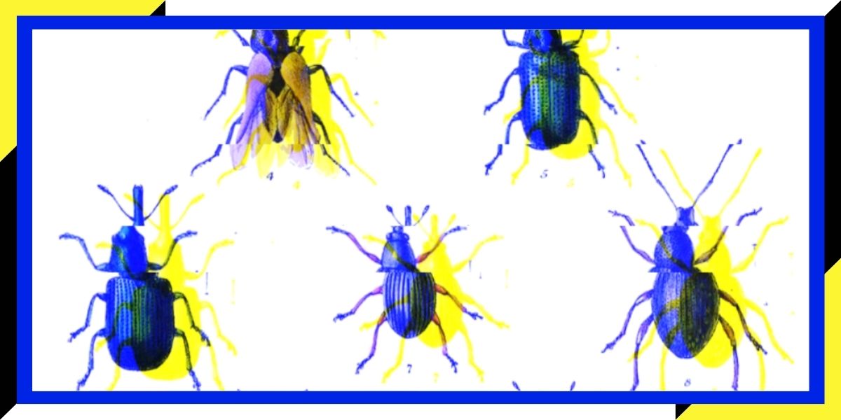 Video Machine Learning Engineering With Tensorflow Extended