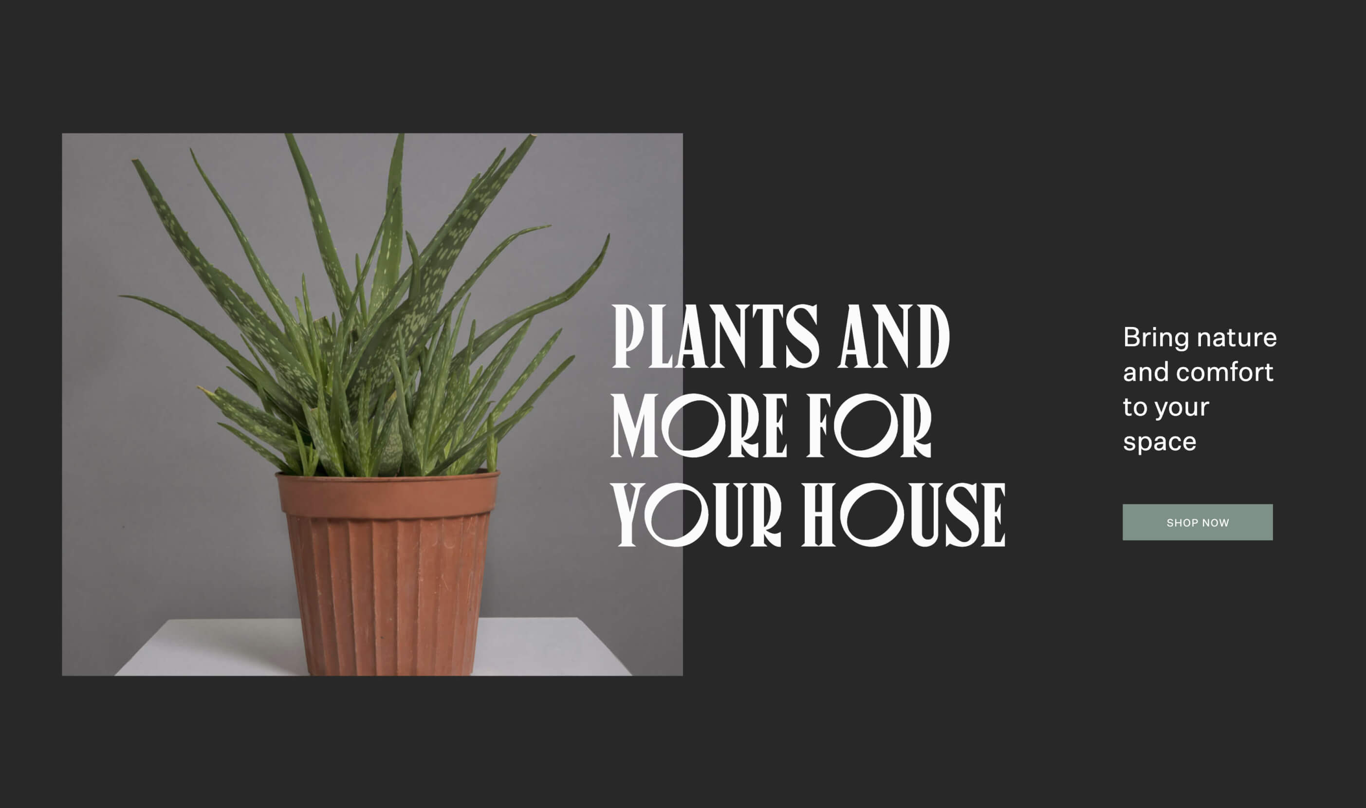 Plants Store | eCommerce Website Template - Plantstore