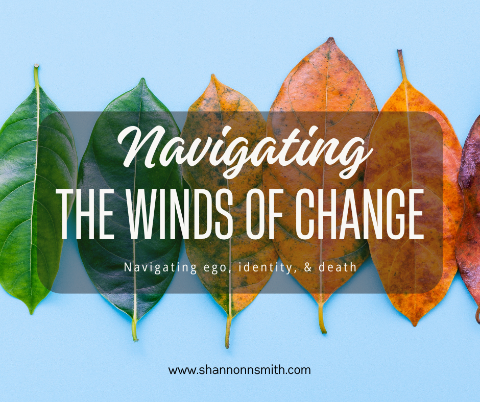 Navigating the Winds of Change