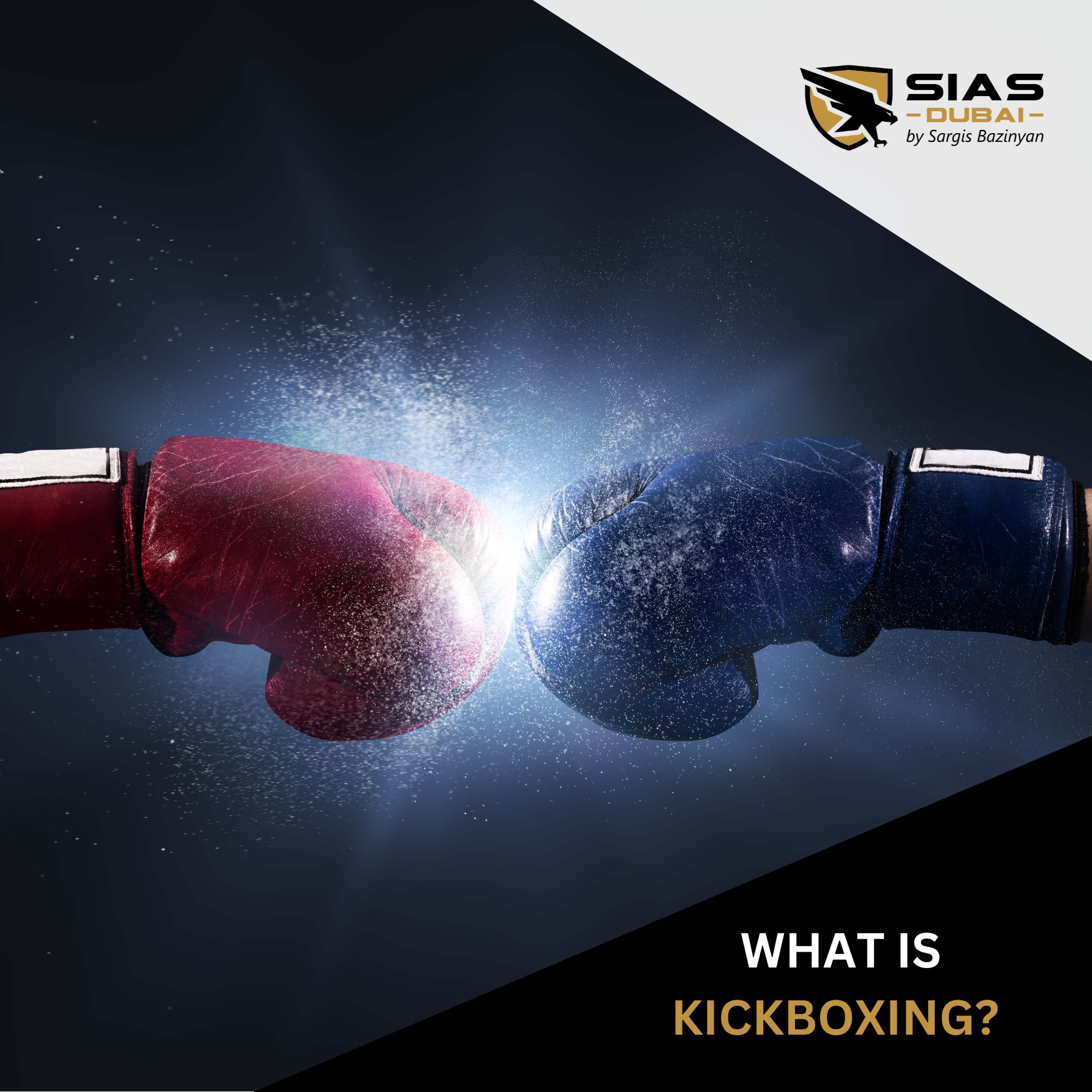 What is Kickboxing? Different Types & Strength Workouts