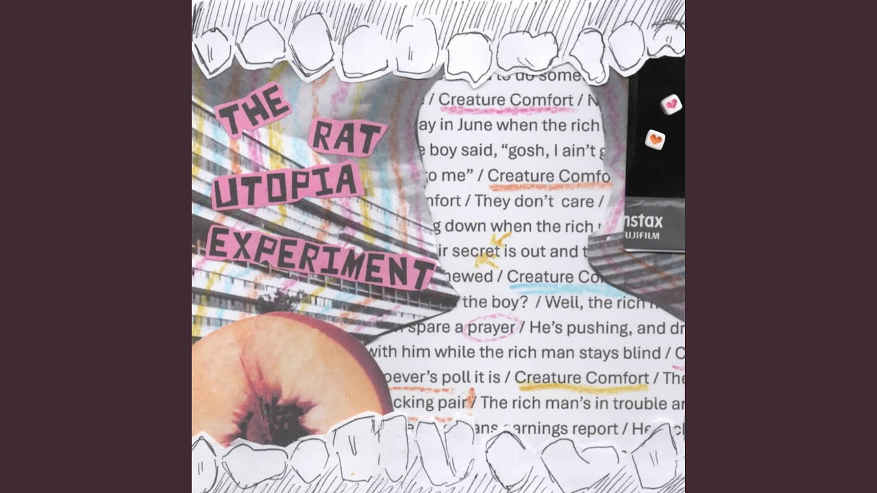 The Rat Utopia Experiment