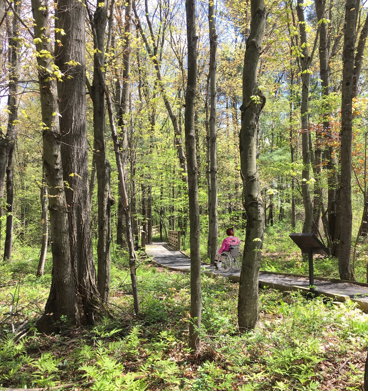 Why Unpaved Trails Are Needed - Trails4all