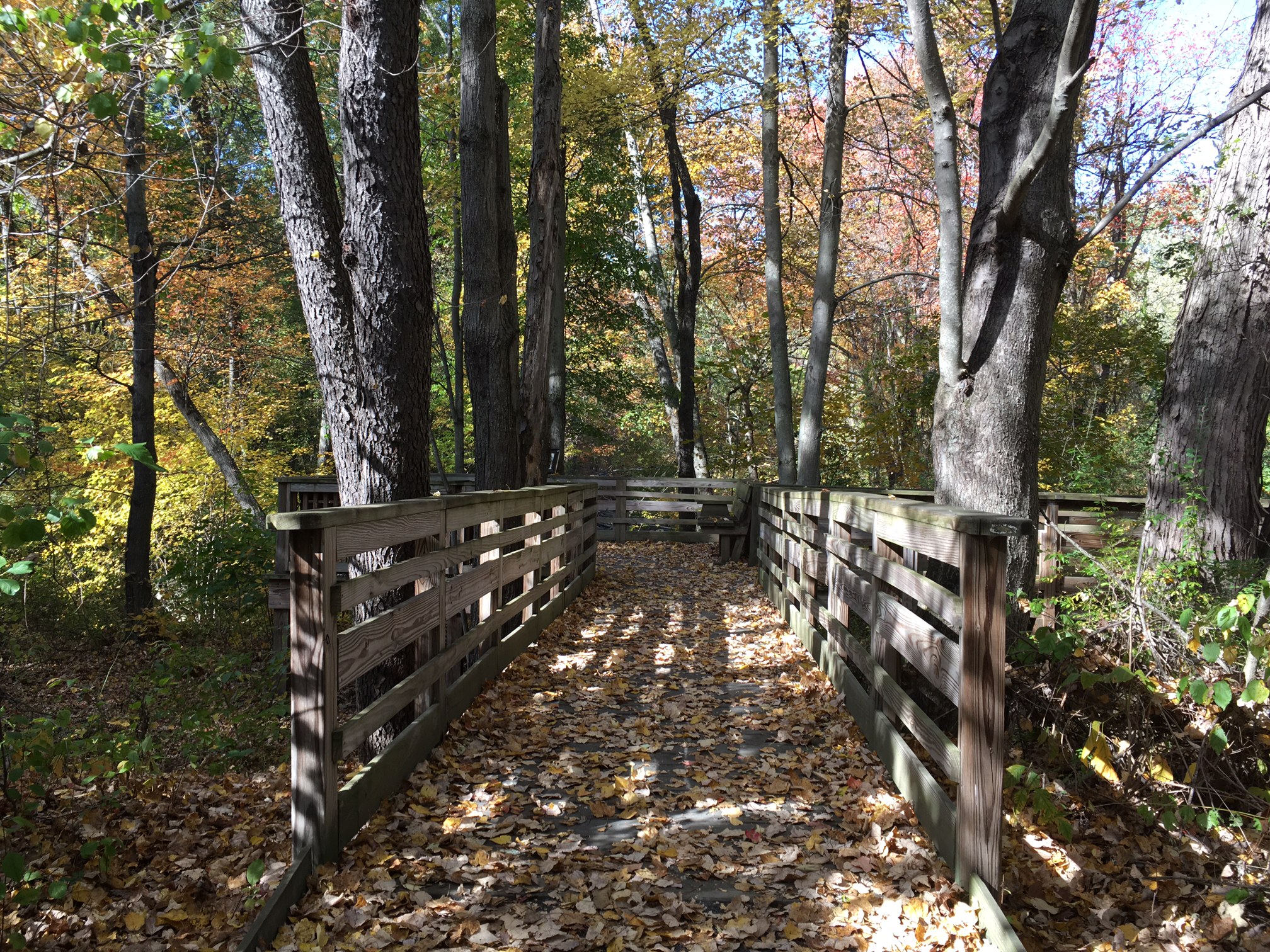 Unpaved Trails For All - Trails4all